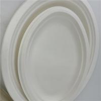 China Disposable Sugarcane Bagasse Paper Plates 6-10 Inch Biodegradable Compostable for Events & Catering for sale
