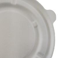 China Natural Sugarcane Pulp Biodegradable Bagasse Bowl 350ml 135mm Diameter for Dim Sum Takeaway for sale