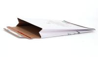 China Custom Printed Rigid Hard Flat Cardboard A4 A5 Document Shipping Envelopes - 5000pcs Minimum Order, 12-15 Day Lead Time for sale