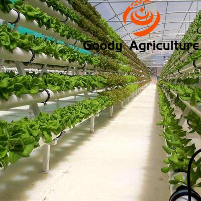 China Pcv Pipe Nft Vertical Hydroponic System for Planting Tomatoes, Lettuce, Cucumber, Strawberry and Other Fruits and Vegetables for sale