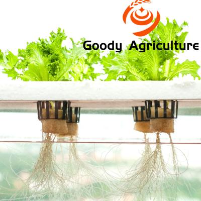 China The New Shallow Hydroponics Technology Is Widely Used in Lettuce/Tomato Planting for sale