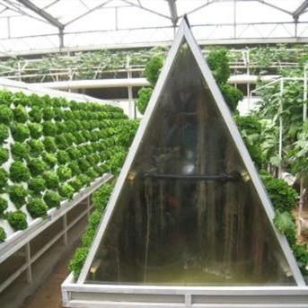 China Aerosol Cultivation and Hydroponics Are Applied to Planting Potatoes/Sweet Potatoes. for sale