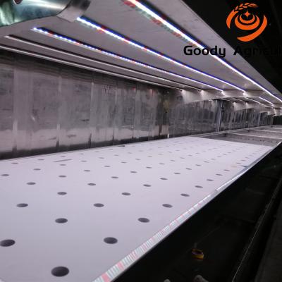China Intelligent 40FT Container Hydroponics Greenhouse/Plant Factory for sale