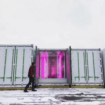 China Agricultural Greenhouse Hydroponic Strawberry Container Plant Factory for sale