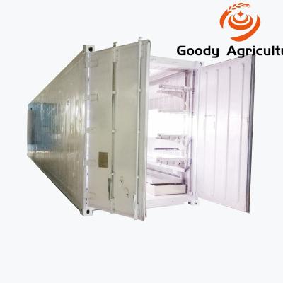 China Full-Automatic Control System of Container Plant Factory for Hydroponic Green and Efficient Growing Plants in Container Farm for sale