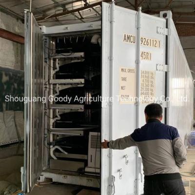 China Refrigerated Hydroponic Container Plant Factory/Hydroponic Farm for sale