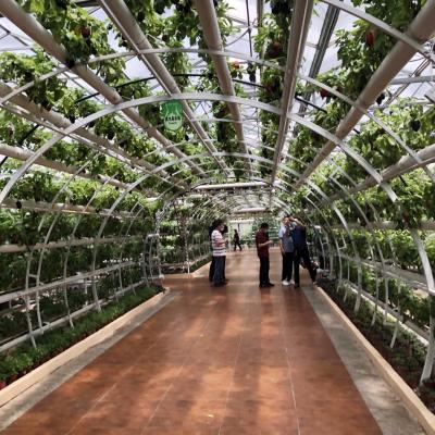 China Hydroponics for Strawberries and Vegetables Accessories System for sale