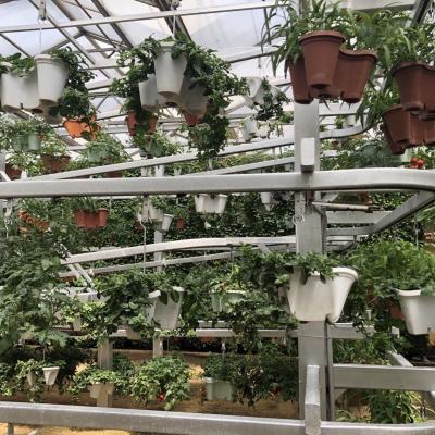 China Frame Nft System Hydroponics for sale