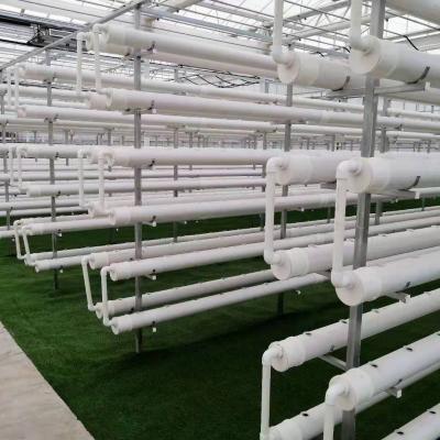 China Agriculture Single-Span/Multi-Span Plastic Film Greenhouse Hydroponics Grow System for Tomato/Lettuce/Cucumber/Flowers/Fruits for sale