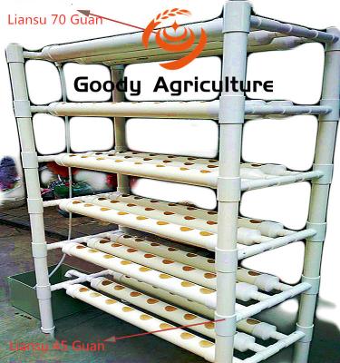 China Home Farming Indoor Hydroponics System for Leaf Vegetables for sale