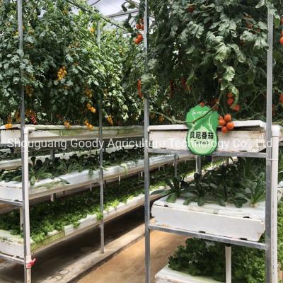 China New Customizable Long Service Life Shallow Flow Cultivation Hydroponics Grow Kit Systems for sale