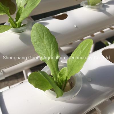 China New Plastic Nft Tray Planting System in Hydroponic Tank for sale