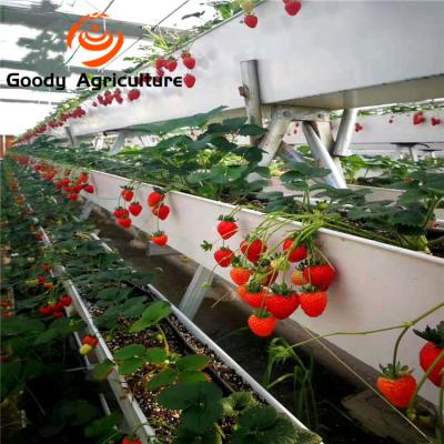China Hydroponic System Plants Grow Over Water to Cover Its Surface and Fish Live Below for sale