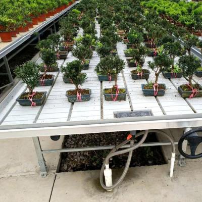 China Hydroponic System Agriculture Grow Cabinet with Water Cycle System for sale