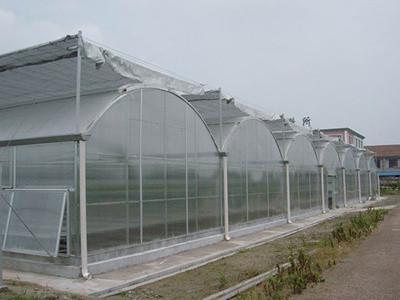China Film /Glass Cover Greenhouse Nft Hydroponic Systems for Tomato for sale
