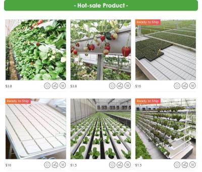 China New Designed Hydroponic Trough Plastic Nft Trays Growing System for sale