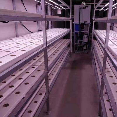 China Intelligent 40FT Container Hydroponics Greenhouse/Plant Factory Made in China for sale