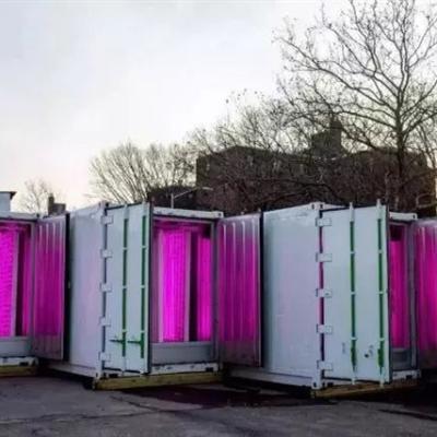 China Nft Hydroponic Grow System Intelligent Container Plant Factory for sale