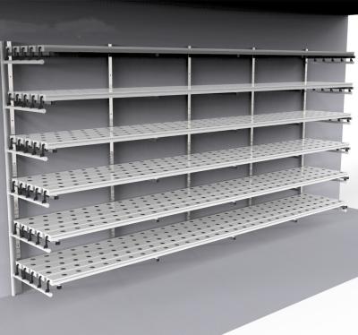 China Intelligent Hydroponic Plant Factory 40FT Container Greenhouse for Agriculture for sale