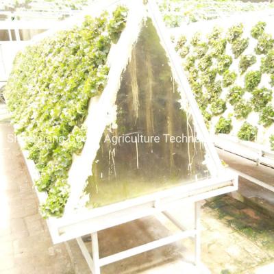 China Hot Sale Soilless Cultivation Aerosol Planting System Vertical Hydroponic Growing System for sale