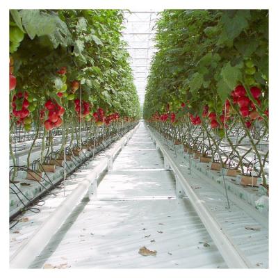 China High-Quality Hydroponic Planting System and Hydroponics Kits for Vegetable Planting for sale