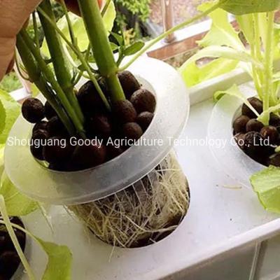 China Garden Greenhouse Hydroponics Plastic Mesh Net Basket Vegetables Grow for sale