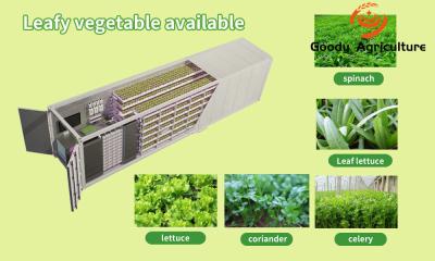 China Hydroponics Plant Container for Leaf Vegetables and Fruits for sale