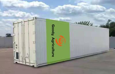 China Commercial Hydroponic Nft Channels Container Growing System Indoor Plant Factory for sale