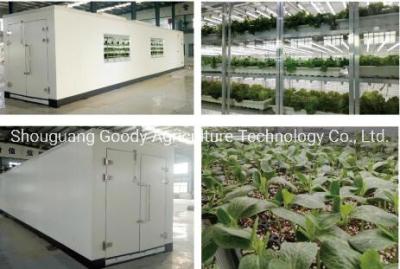 China Hydroponics Plant Factory Moveable Hydroponics Container for sale