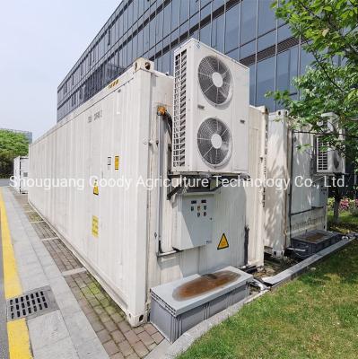 China Vegetable Container Plant Factory (DFT/NFT) Hydroponics Greenhouse Plant Factory for Growing Vegetable for sale
