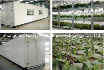 China Nft Hydroponic System Microgreen Container for sale
