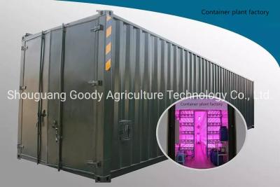 China 40 Hq Vertical Farm Plant Factory Container Hydroponic Farm Greenhouse for sale