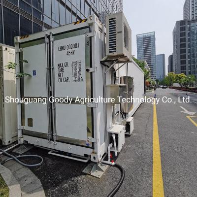 China Auto Hydroponic Farm Planting Vegetables in Containers for sale