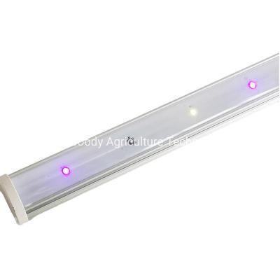 China 220V 100cm Horticulture Greenhouse Light 280nm UVB LED Grow Light Increased HTC Concentration for sale
