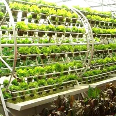 China Hydroponics Vertical Hydroponics System For Vegetables Tomato Cucumber Lettuce Leaf for sale