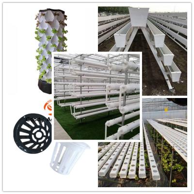 China Hydroponic Growing Systems PVC Channel Greenhouse Hydroponic Nft for Lettuce Indoor Growing System for sale