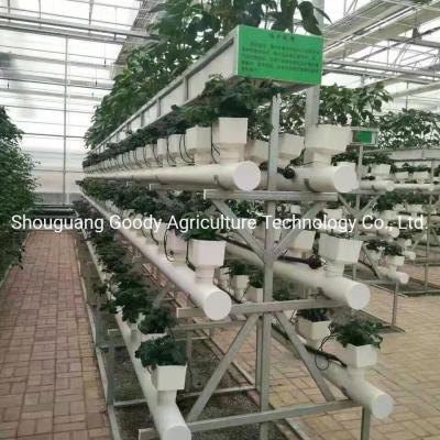 China Complete Hydroponics System for Large Farm for sale