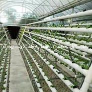 China PVC Pipe Nft Vertical Hydroponics System for Sale/Lettuce/Strawberry/Cucumber for sale