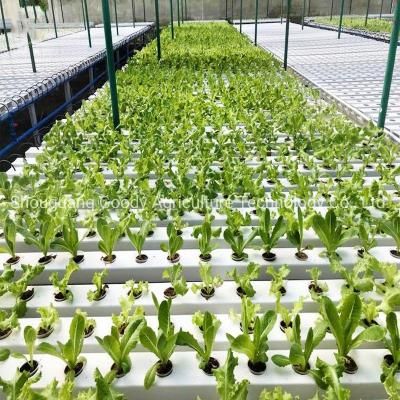 China Stereoscopic Culture Vertical Farm Plant Plant Hydroponics Farm Hydroponic Growing Systems for sale