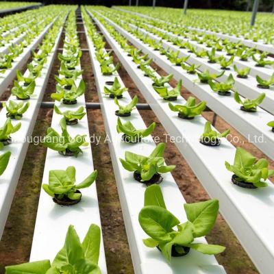 China PVC Pipe Nft Vertical Hydroponic Greenhouse System/Lettuce/Strawberry/Cucumber for Sale for sale
