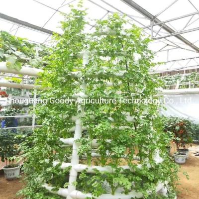 China Container Hydroponics Farm PVC Square Nft Hydroponic System for sale