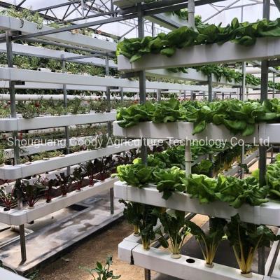China Customized Designed Hydroponic Nft System Nft Pipe Growing Kit Hydroponics Gutter System for sale