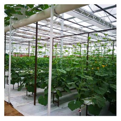 China Good Quality Hydroponic Growing Systems for Vegetables Planting and Growing for sale