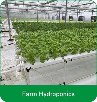 China Vegetables Plant Greenhouse Home Indoor Smart Hydroponic Growing Systems for sale