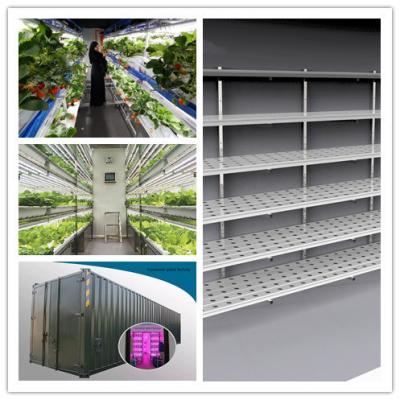China Vegetable Container Plant Factory (DFT/NFT) Greenhouse Plant Factory for Growing Vegetable for sale