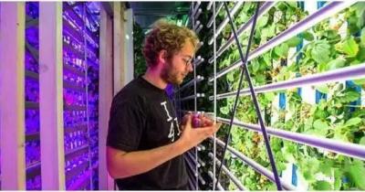 China 20 Gp 40 Hq Intelligent Movable Container Hydroponic Grow System For Greenhouses for sale