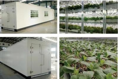 China Hydroponics Plant Factory Moveable Hydroponics Container for Leaf Vegetables Planting for sale