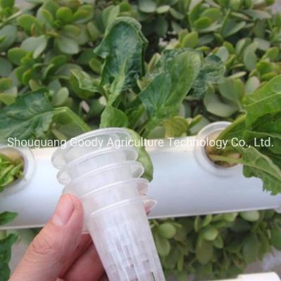 China Aquaponic Growing Plastic Net Pot for Vegetables for sale