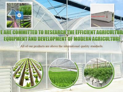 China Greenhouse Hydroponics Growing System Indoor   Single  Layer for sale
