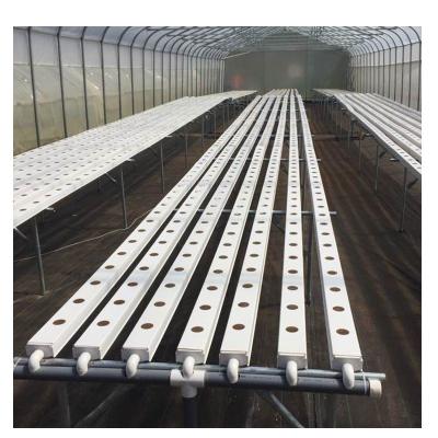 China Nft Hydroponics Growing Systems With Hydroponic Shelving For Agriculture for sale